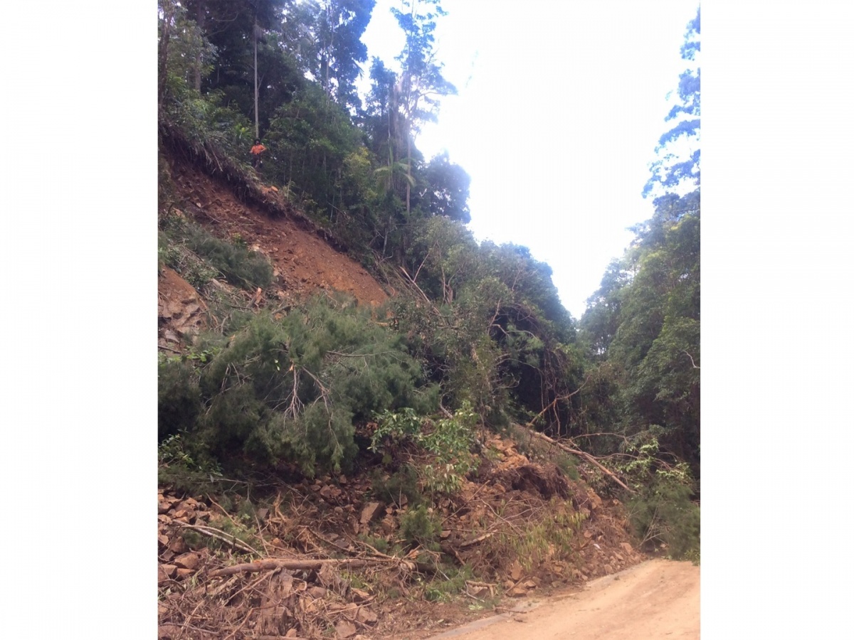 Springbrook Cyclone Debbie Clean-up - Power Clear
